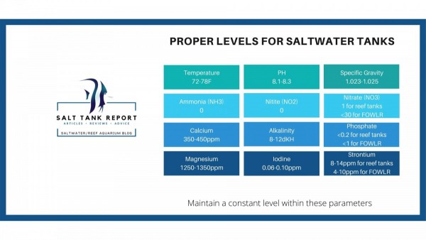 Water Parameters Chart - Salt Tank Report