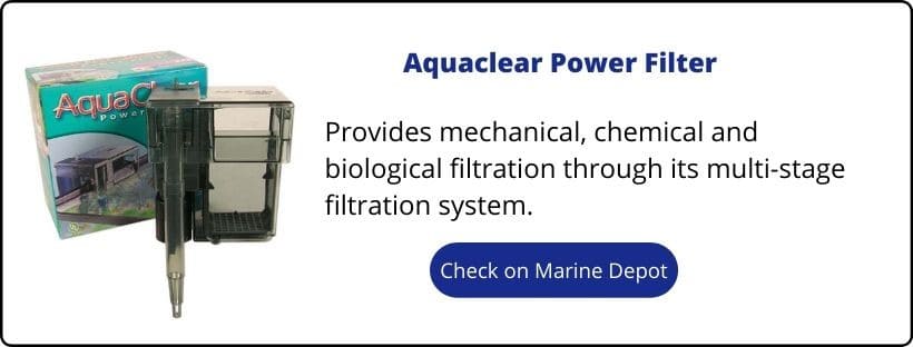 Best Hang On Back Filters For Saltwater Tanks – Salt Tank Report