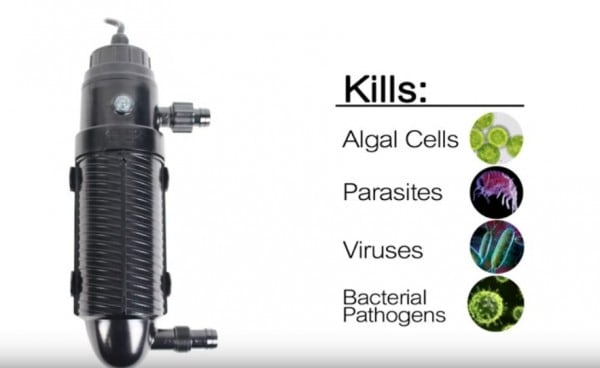 How To Set Up An Aquarium UV Sterilizer – 11 Steps To Success – Salt ...