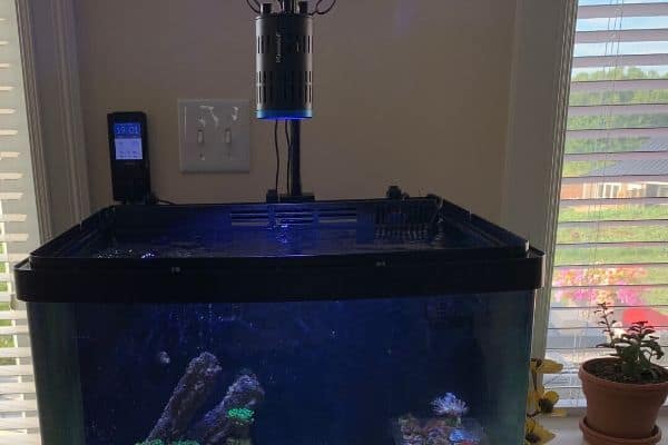 15 Best Biocube 32 Upgrades – Turn Your Coralife Tank Into A Beast ...
