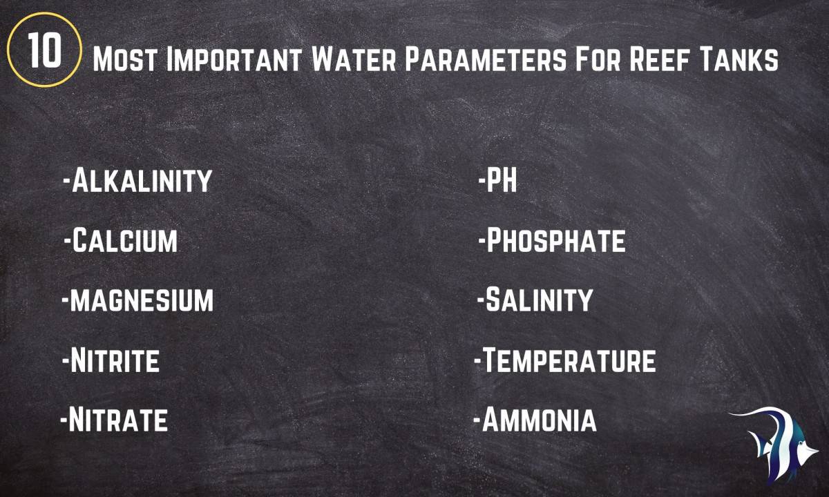Water Parameters Chart - Salt Tank Report
