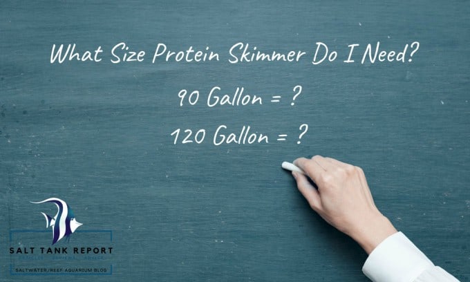 What Size Protein Skimmer Do I Need? (The Definitive Guide)