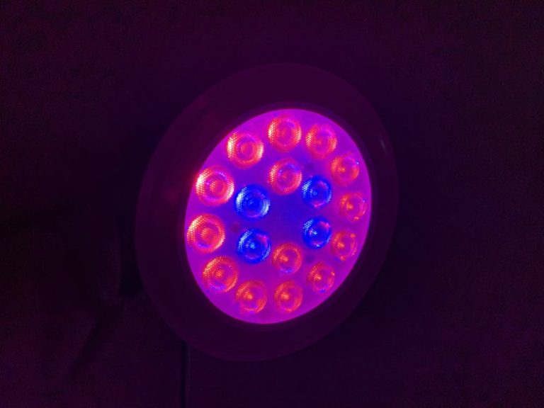 Best Budget Refugium Light – Get Massive Chaeto Growth! – Salt Tank Report