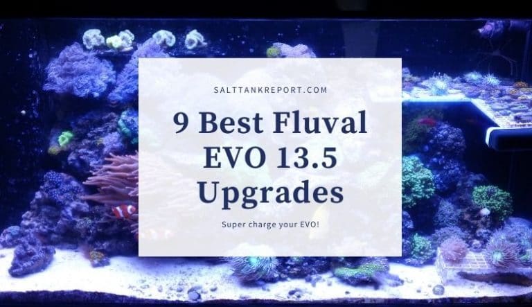 9 Best Fluval EVO 13.5 Upgrades (2021) – Salt Tank Report