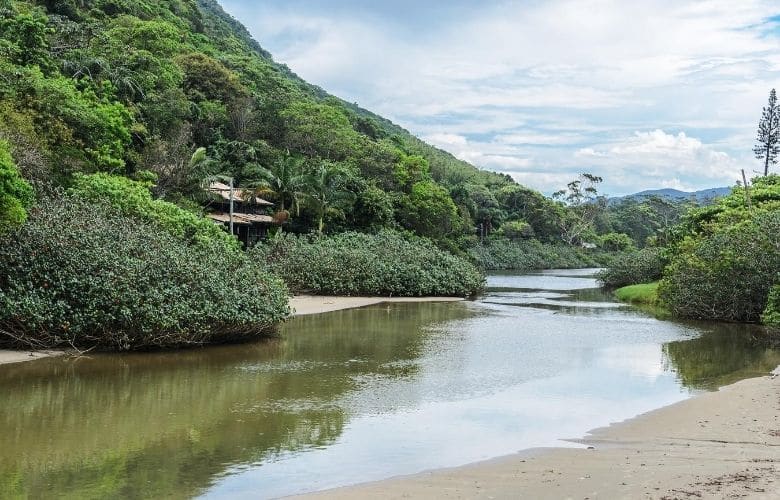 How To Set Up A Brackish Water Aquarium (Complete Guide) – Salt Tank Report