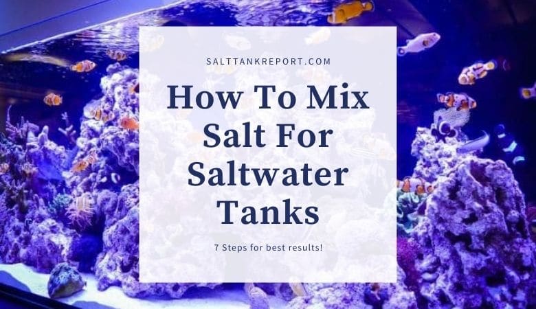 How To Mix Salt For Saltwater Aquariums (7 Steps For Best Results)