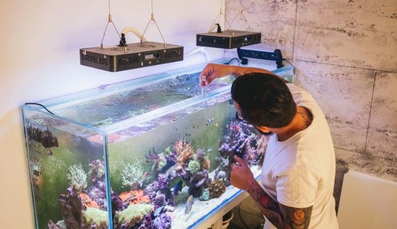 About - Salt Tank Report