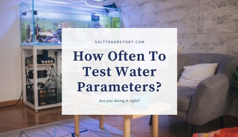 How Often To Test Water Parameters In Saltwater Tanks?